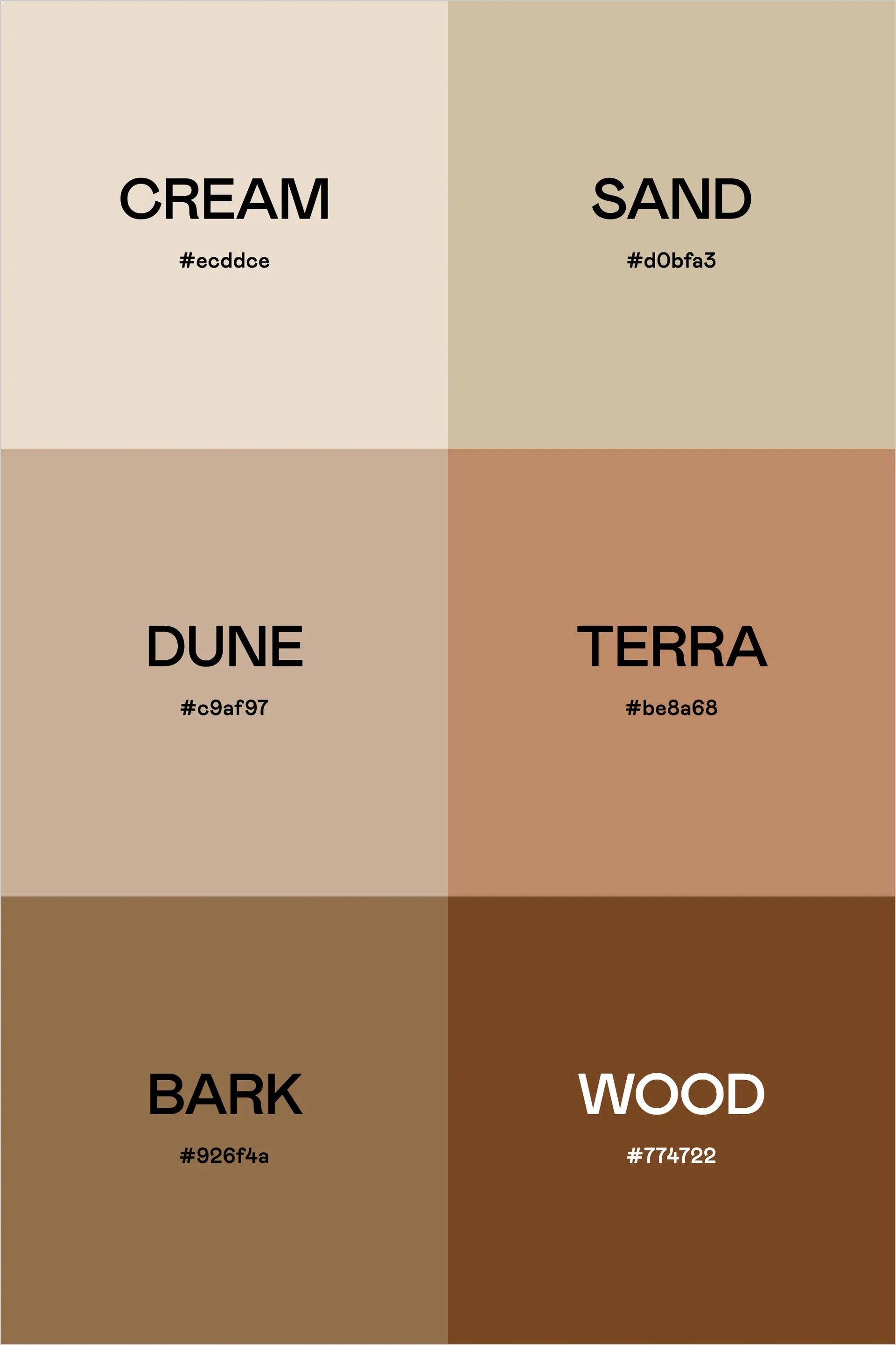 Color Palette: Coconut – The Color Palette Studio