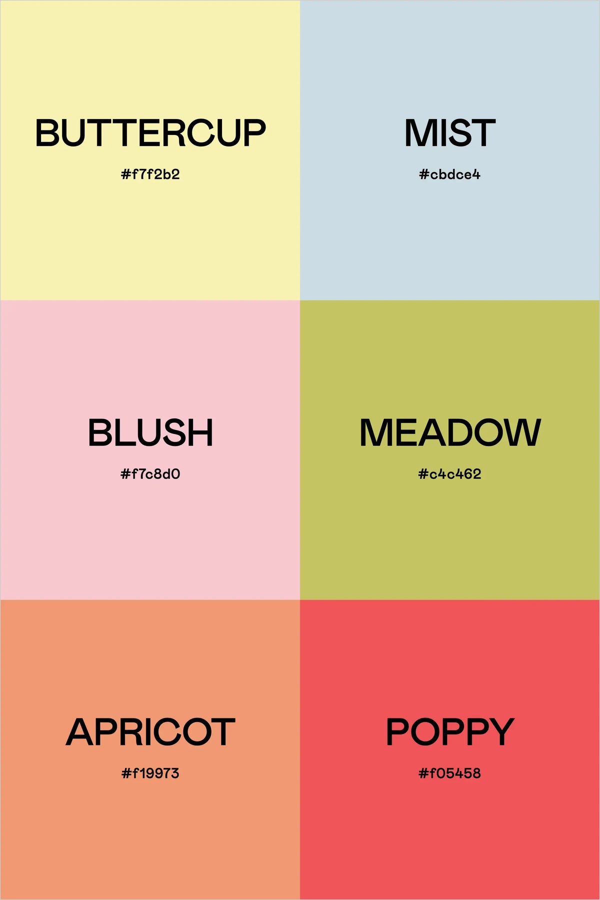 Color Palette: Sunny Florals – The Color Palette Studio