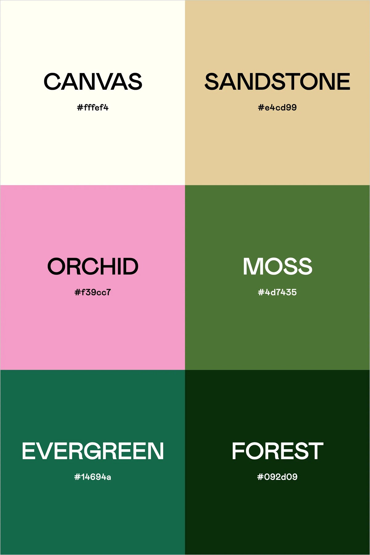 Color Palette: Urban Jungle – The Color Palette Studio
