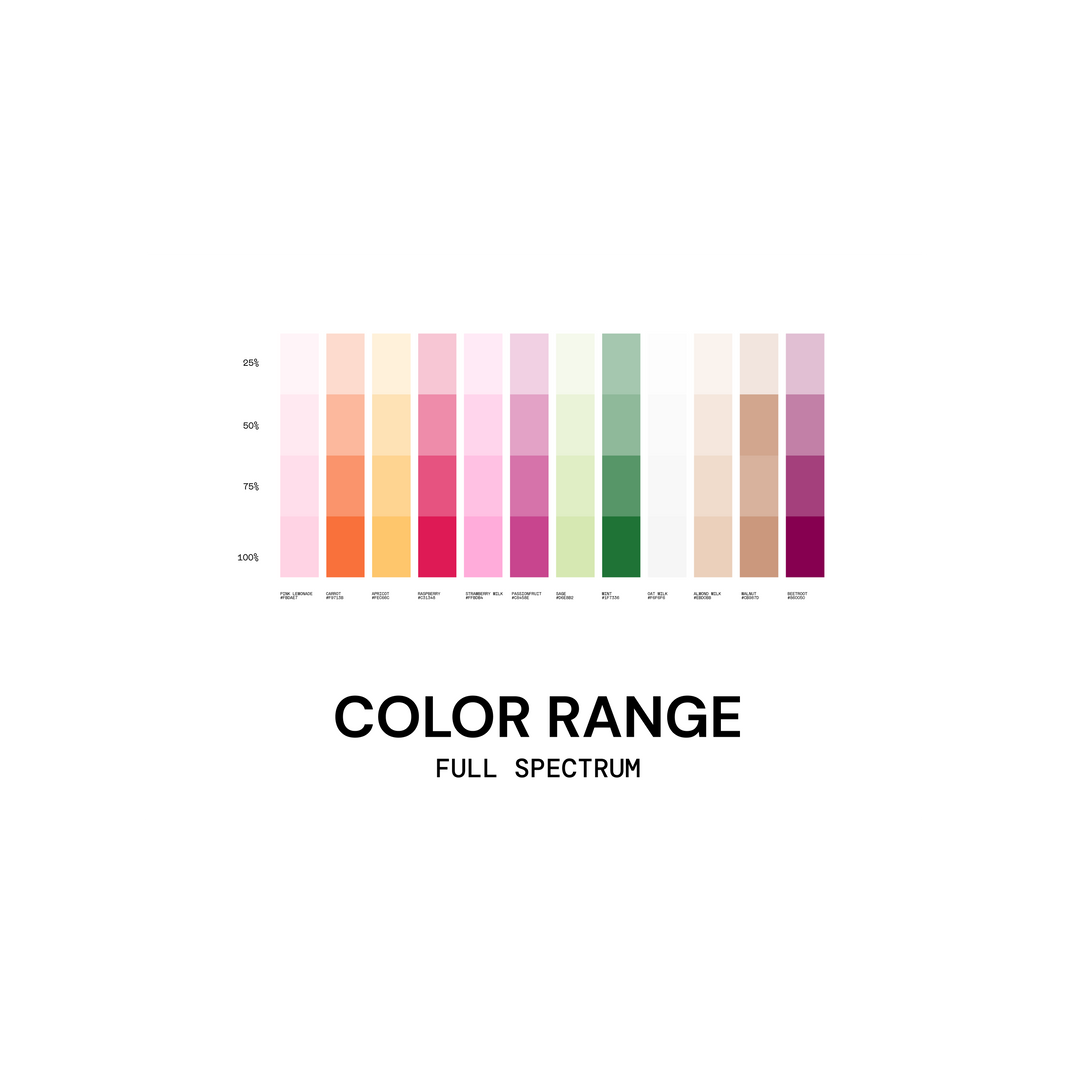 Color Palette Style Guides – The Color Palette Studio